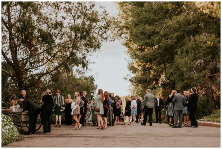 Ethereal Open Air Resort Wedding | Morgan + Conrad | Shelly Anderson ...