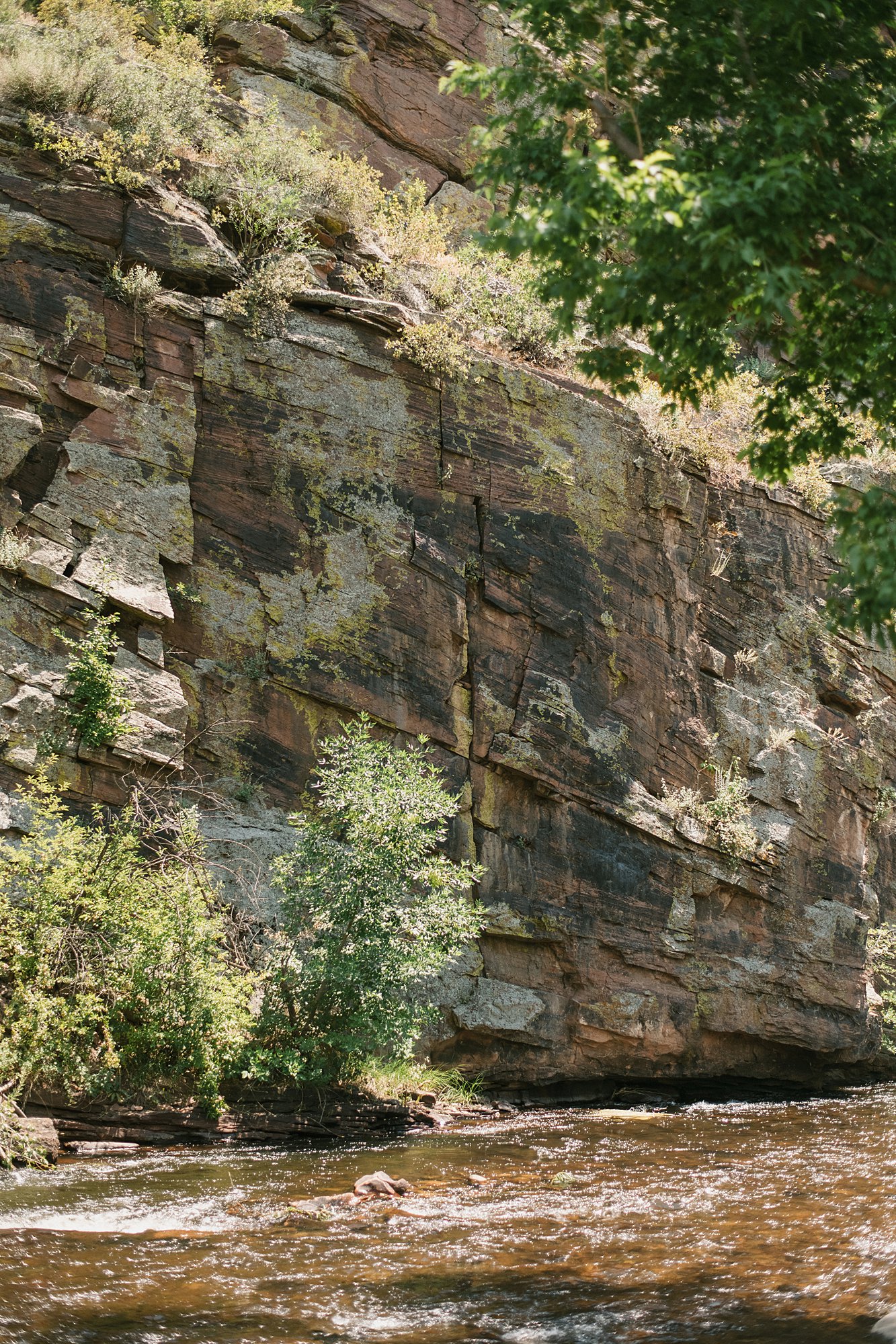 Planet Bluegrass Wedding in Lyons | Megan + Matthew